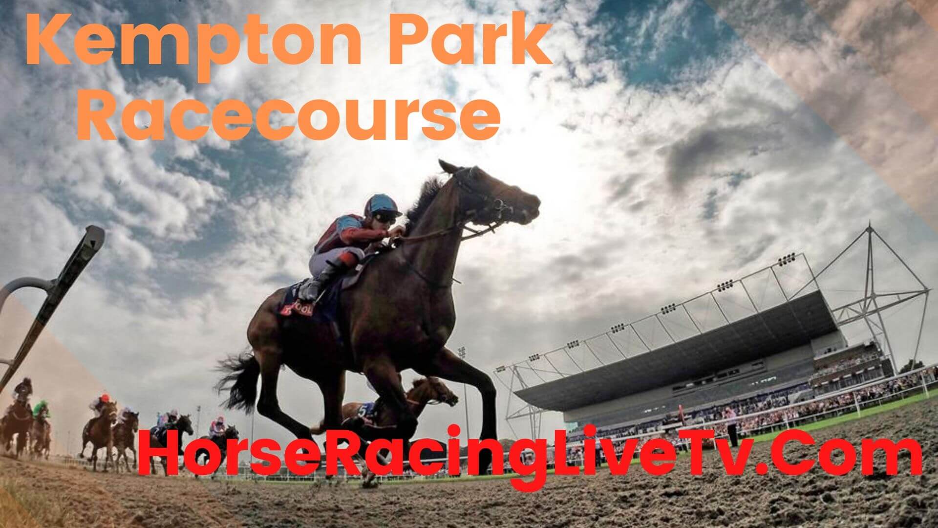 Kempton Park: 32red Handicap 3 - Horse Racing highlights