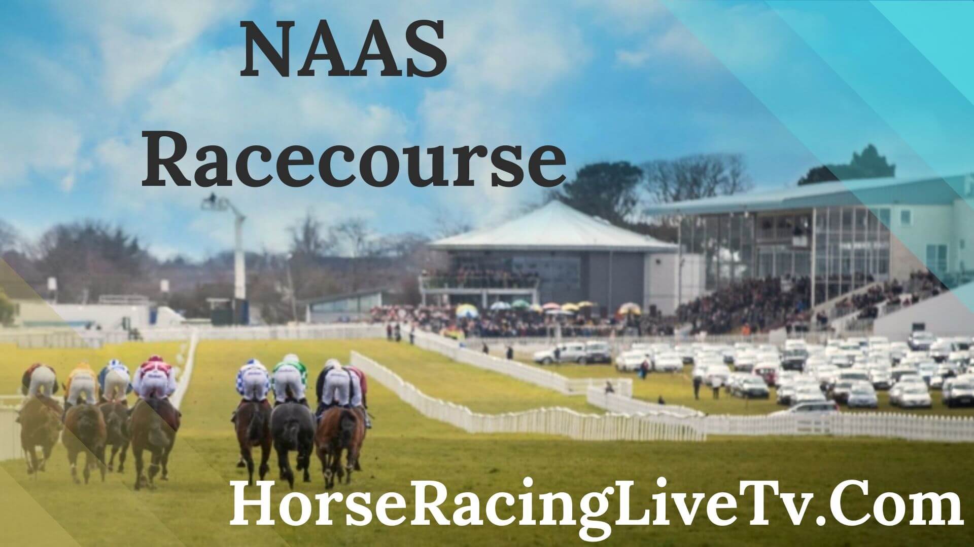 Naas: Irish Stallion Farms European Breeders Fund C G Maiden - Horse ...