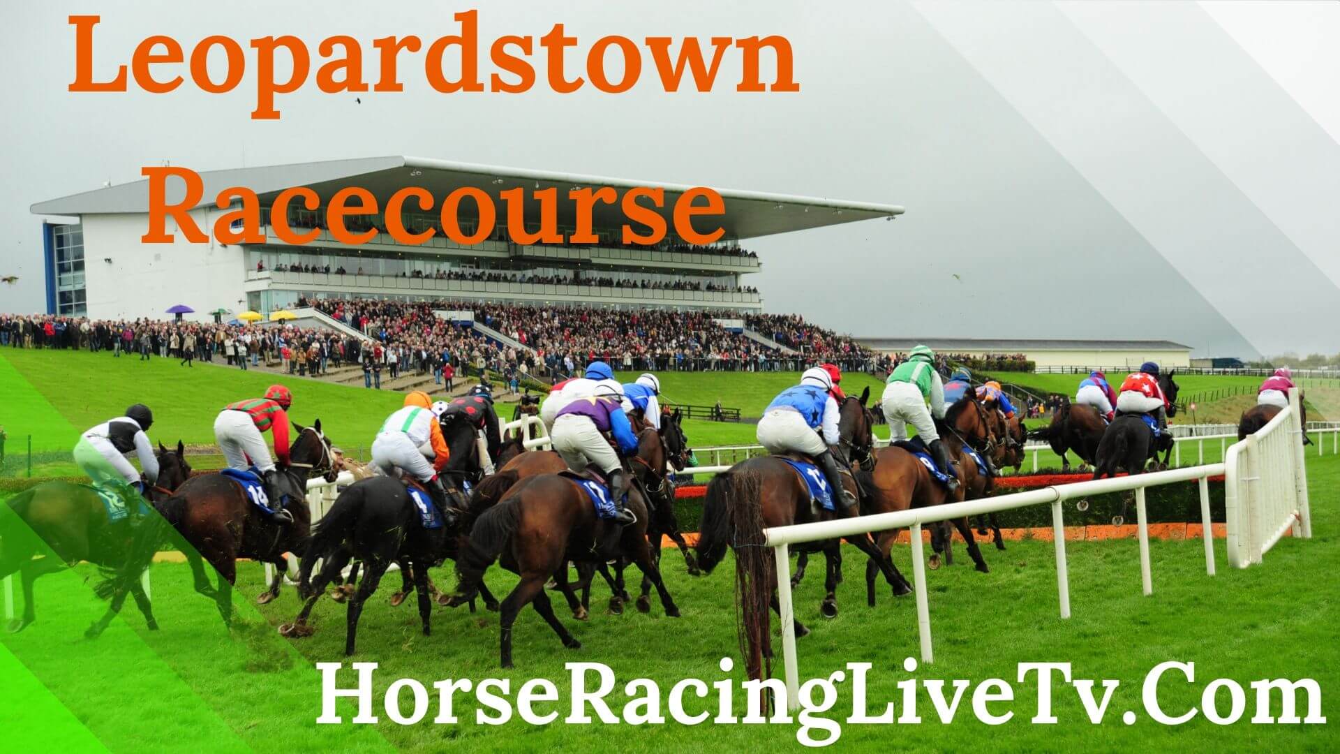 Leopardstown: Fillies Trial Stakes Group 3 - Horse Racing highlights