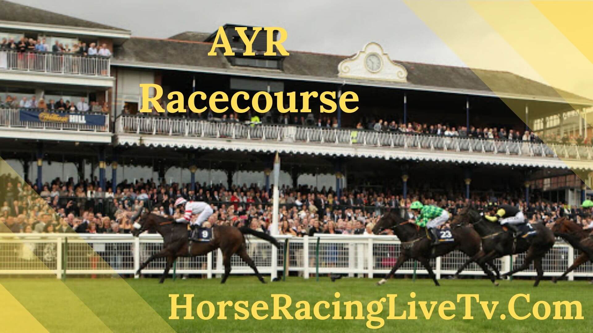 Ayr: Jordan Electrics Novice Stakes 5 - Horse Racing highlights