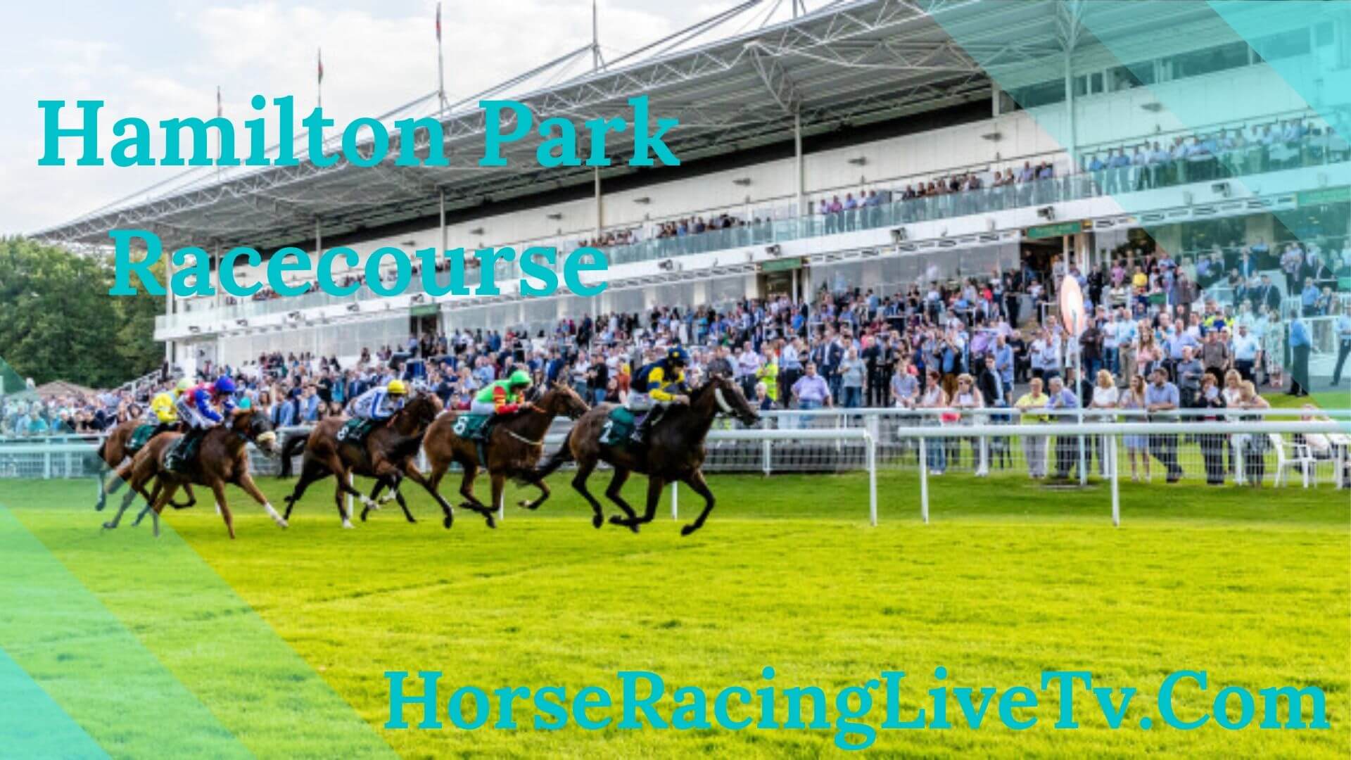 Hamilton Park: Patersons of Greenoakhill Handicap 4 - Horse Racing ...