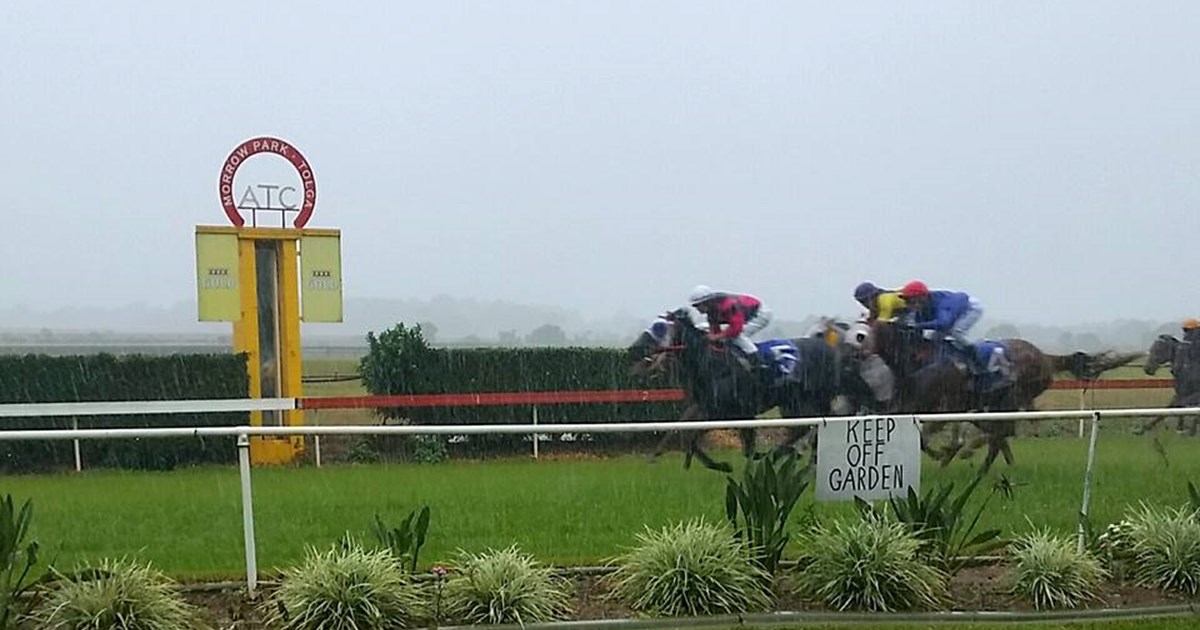 Atherton Racecourse Horse Racing Live Stream : Results - Stats