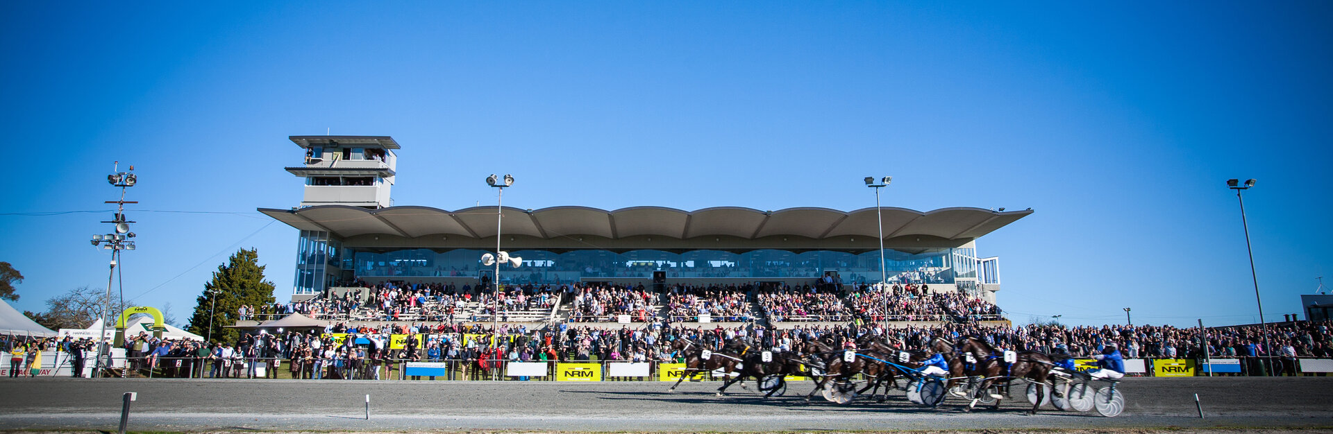 Watch Horse Racing Live Online