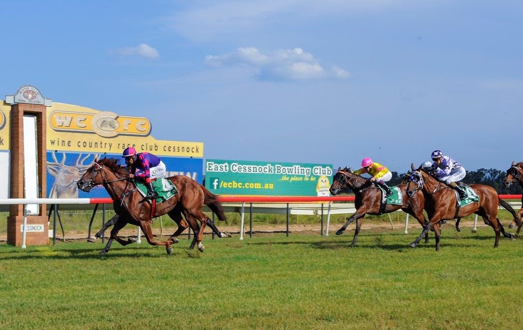 Cessnock Racecourse Horse Racing Live Stream : Results - Stats