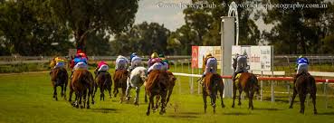 Cowra Racecourse Horse Racing Live Stream : Results - Stats