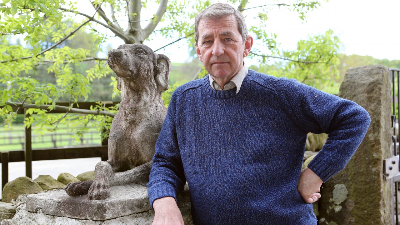 David Rees Profile as Horse Trainer - Daily David Rees Horse Racing Stat