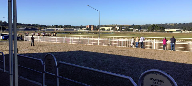 Devonport Racecourse Horse Racing Live Stream : Results - Stats