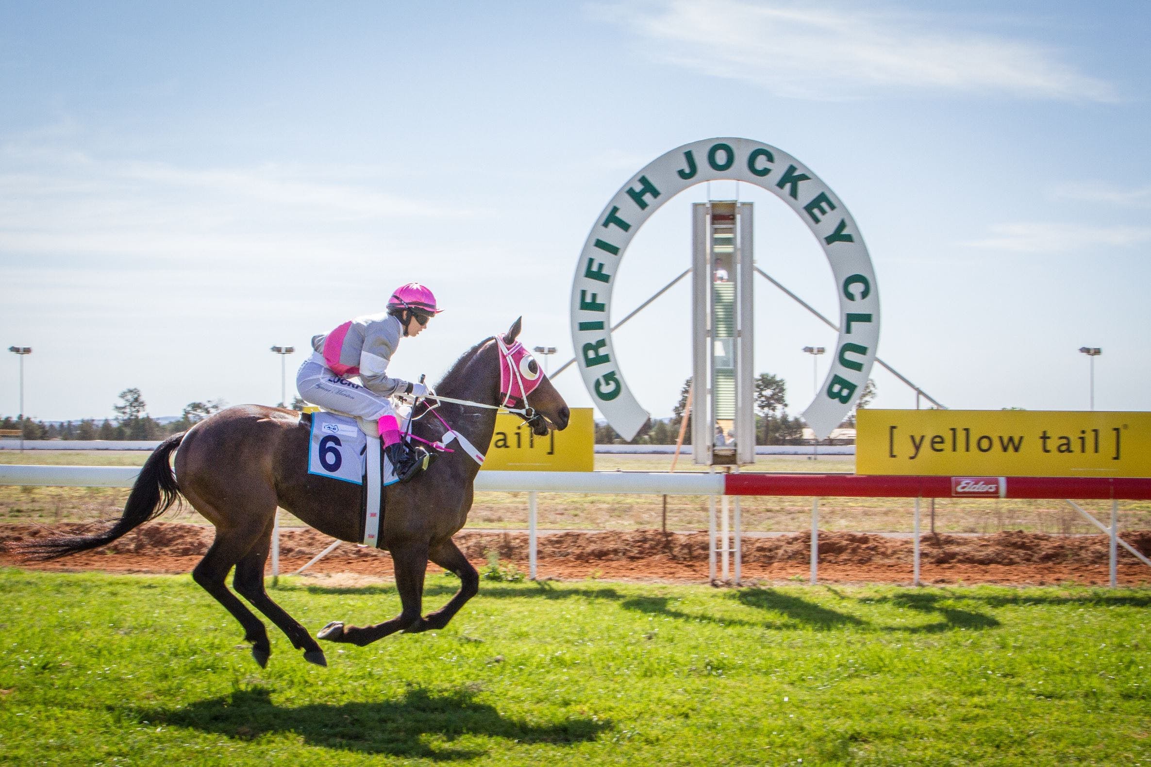 Griffith Racecourse Horse Racing Live Stream : Results - Stats