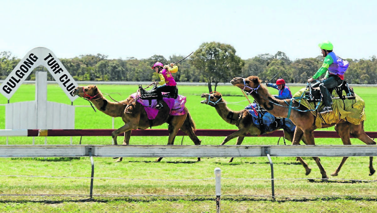 Horse Racing Clubs 2022 - List of all Clubs Operating in every country