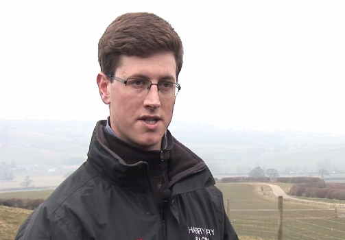 Harry Fry Profile as Horse Trainer - Daily Harry Fry Horse Racing Stat