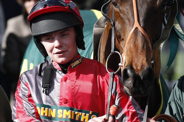 2024 Jamie Hamilton Profile as Jockey - Daily Jamie Hamilton Horse ...