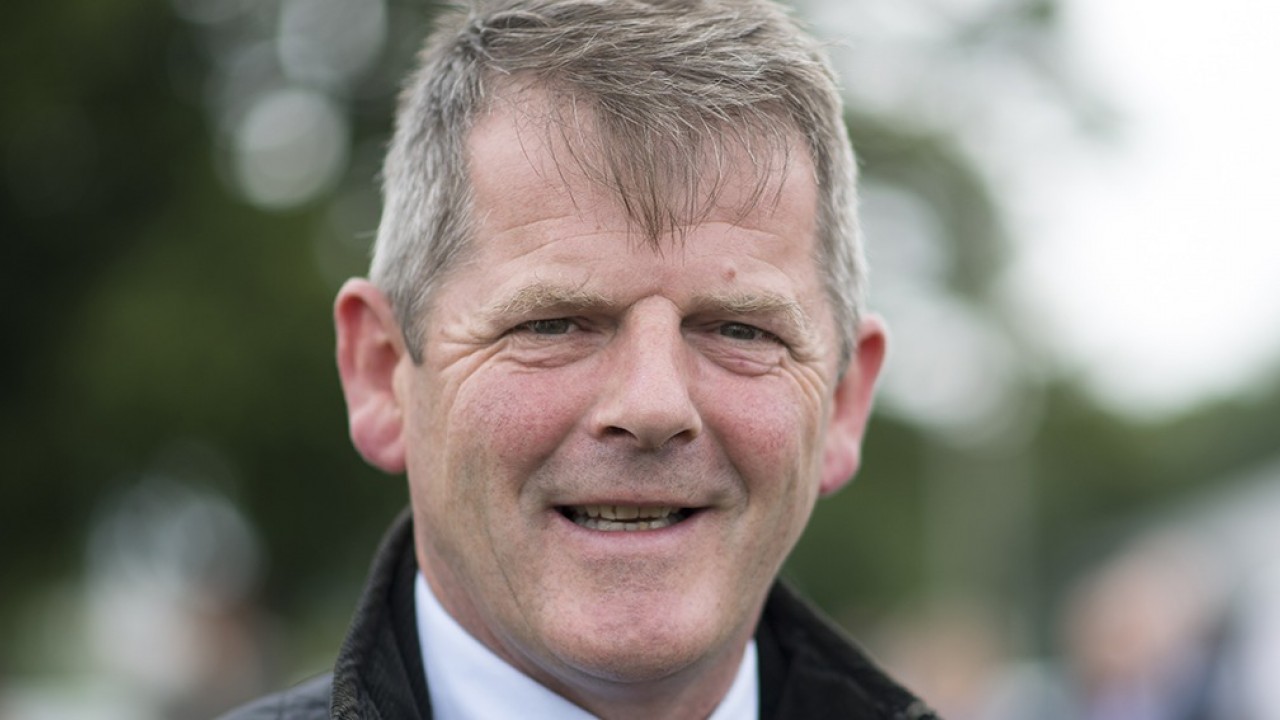 Joseph Tuite Profile as Horse Trainer - Daily Joseph Tuite Horse Racing ...