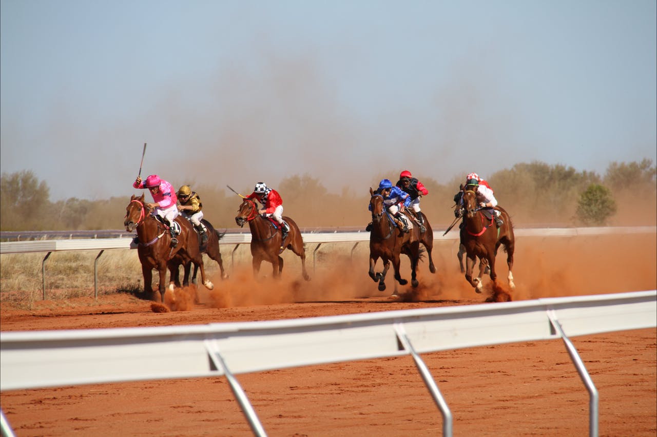 Jundah Racecourse Horse Racing Live Stream : Results - Stats