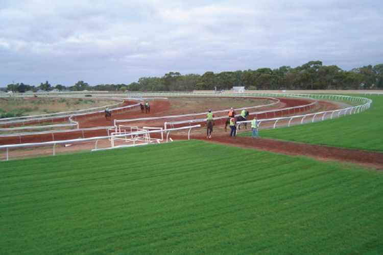 Kalgoorlie Racecourse Horse Racing Live Stream : Results - Stats