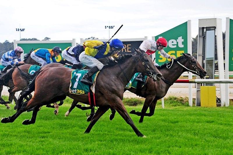 Kilmore Racecourse Horse Racing Live Stream : Results - Stats