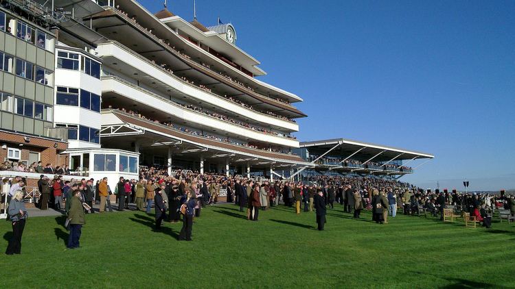Newbury Racecourse Horse Racing Live Stream : Results - Stats