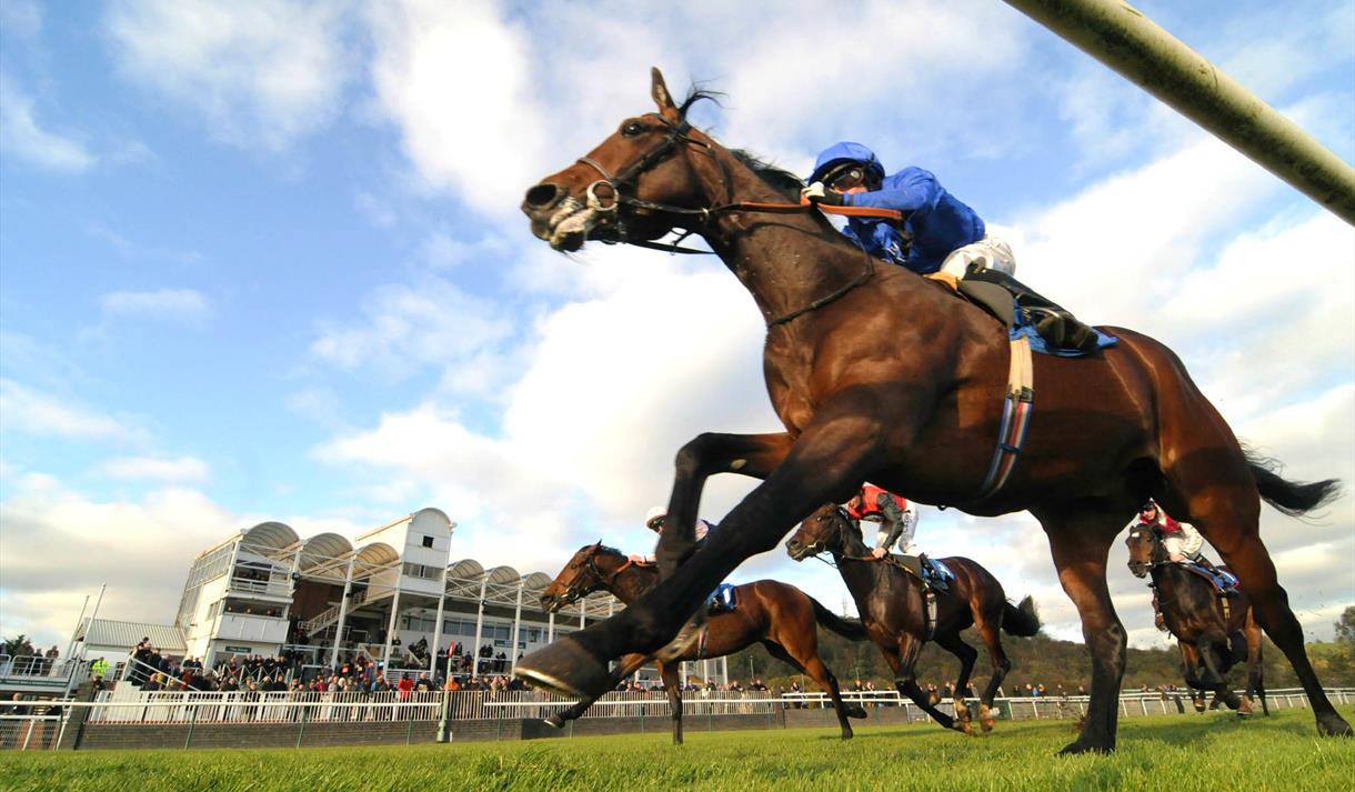 Nottingham Racecourse Horse Racing Live Stream : Results - Stats