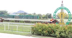 Perak Turf Racecourse Horse Racing Live Stream : Results - Stats