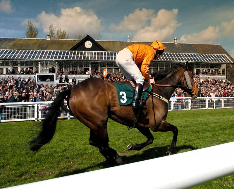 Perth Racecourse Horse Racing Live Stream : Results - Stats