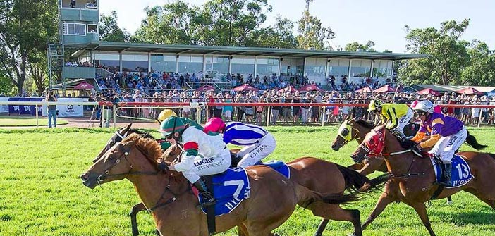 Pinjarra Park Horse Racing Live Stream : Results - Stats