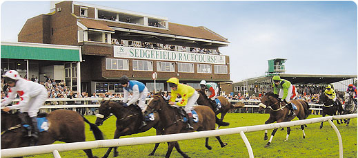 Sedgefield Racecourse Horse Racing Live Stream : Results - Stats
