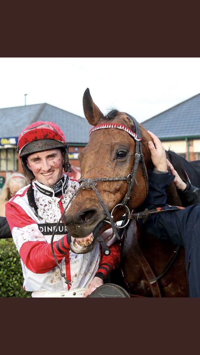2024 Stephen Mulqueen Profile as Jockey - Daily Stephen Mulqueen Horse ...
