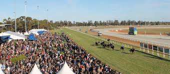 Watch Horse Racing Live Online
