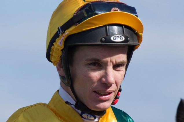 2024 Tim Clark Profile as Jockey - Daily Tim Clark Horse Racing Stat