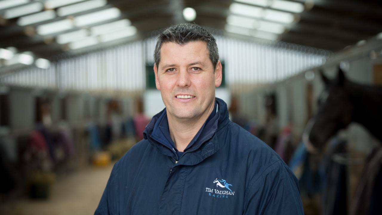 Tim Vaughan Profile as Horse Trainer - Daily Tim Vaughan Horse Racing Stat