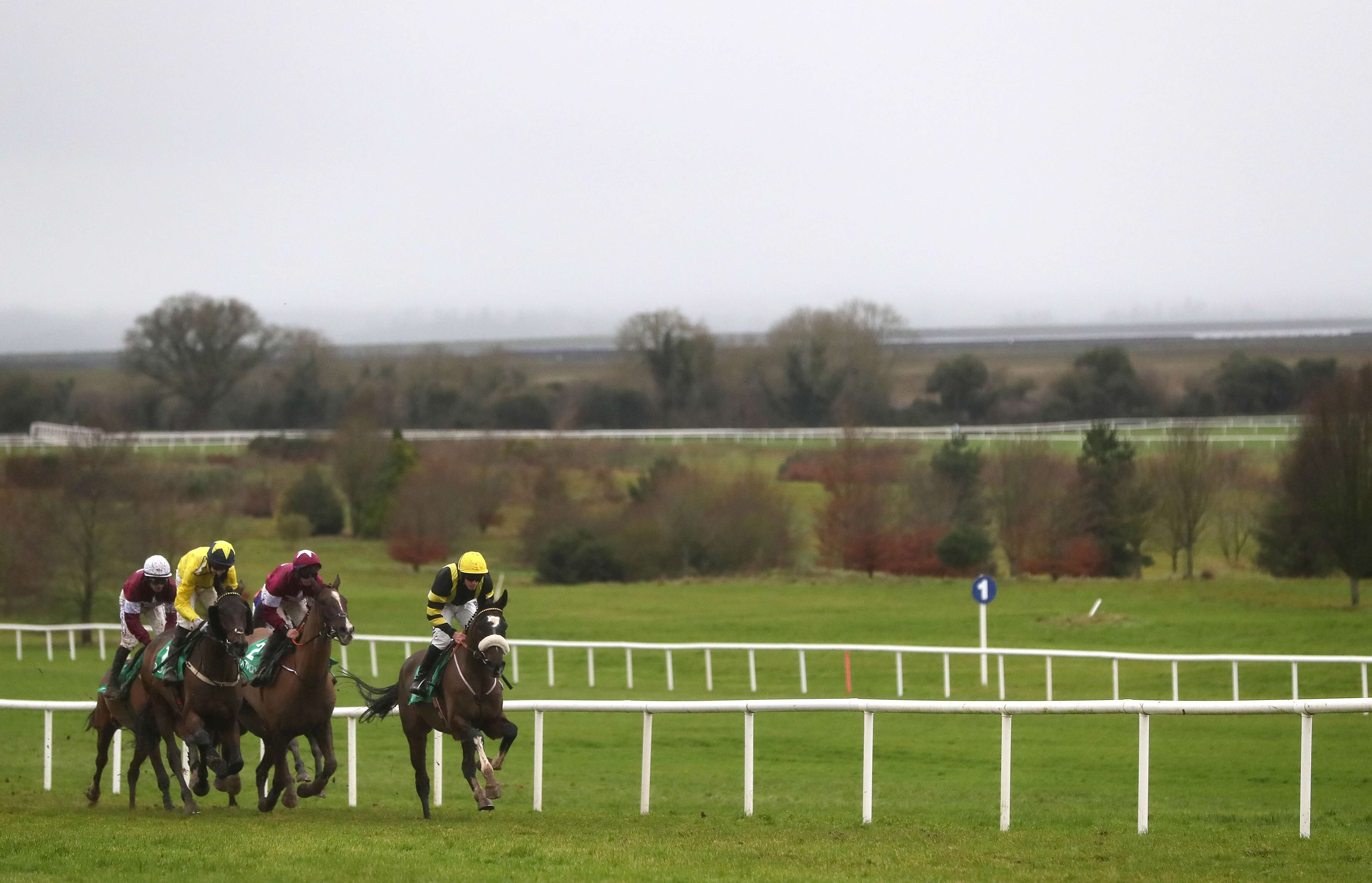 Waverley Racecourse Horse Racing Live Stream : Results - Stats