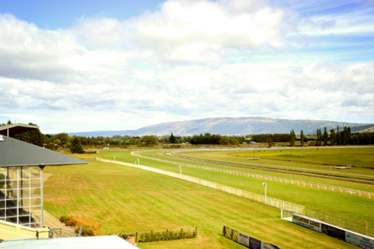 Wingatui Racecourse Horse Racing Live Stream : Results - Stats