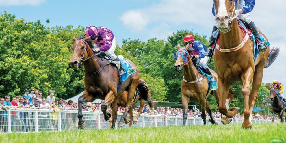 Watch Horse Racing Live Online
